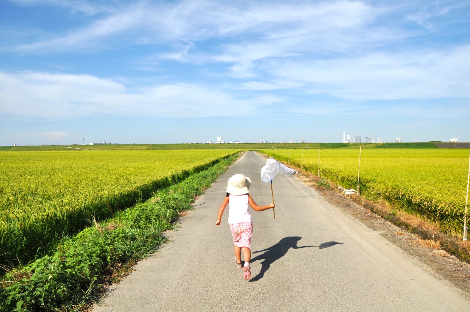 [Infographic] How ICLEI’s five pathways contribute to the Sustainable ...